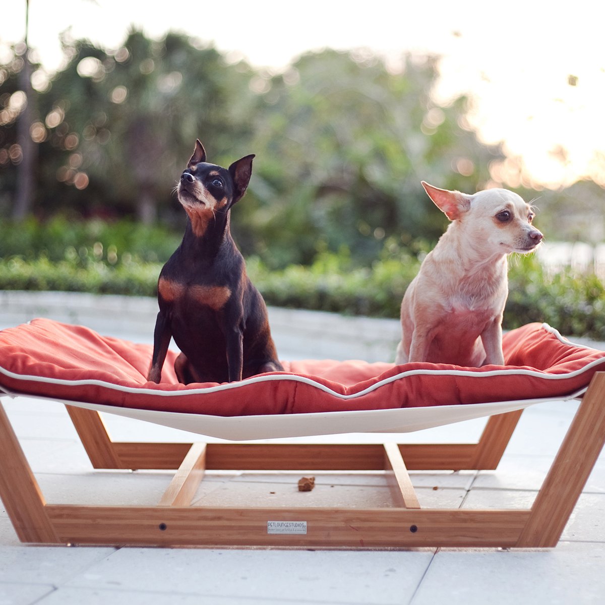 Dog Hammock Bed With Canopy At Lavina Flippen Blog
