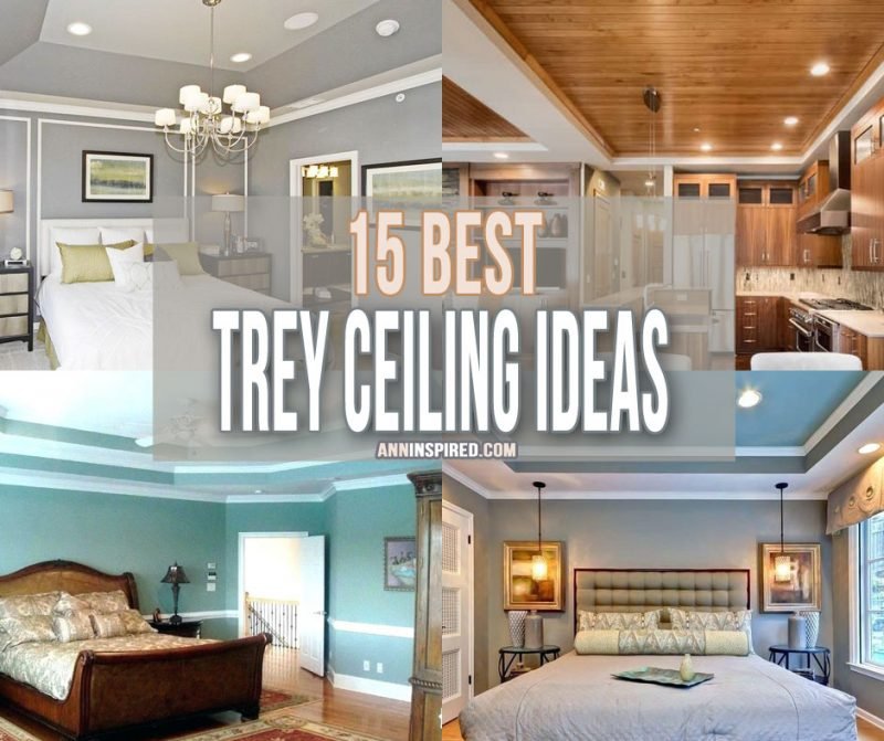 15 Best Tray Ceiling Ideas | Ann Inspired