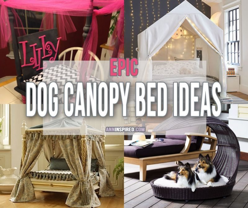 11Epic Dog Canopy Bed Ideas | Ann Inspired