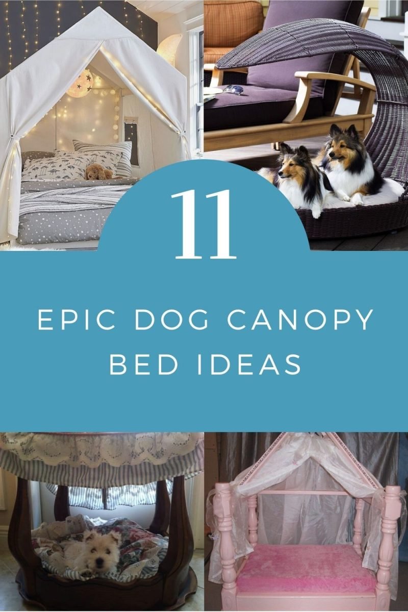 11Epic Dog Canopy Bed Ideas | Ann Inspired