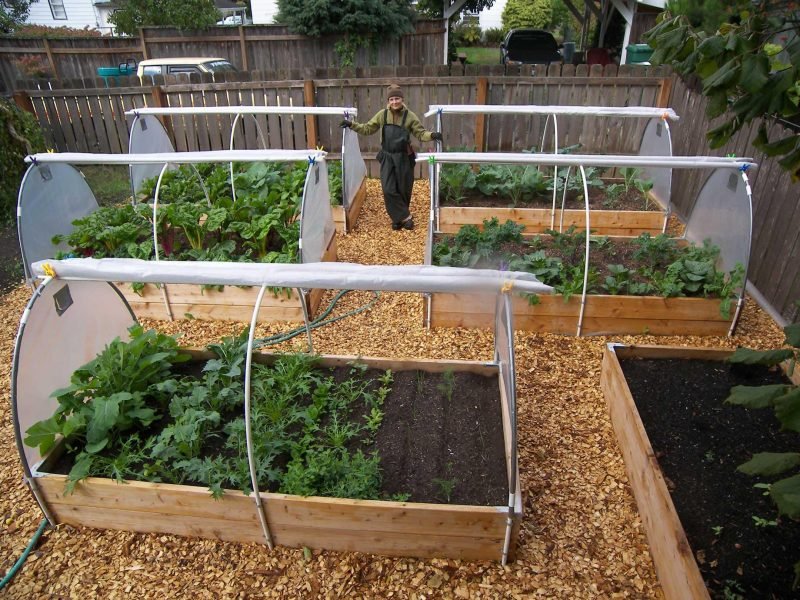 32 Raised Bed Vegetable Garden Layout Plans | Ann Inspired