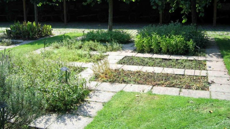 24 Best Perennial Garden Plans | Ann Inspired